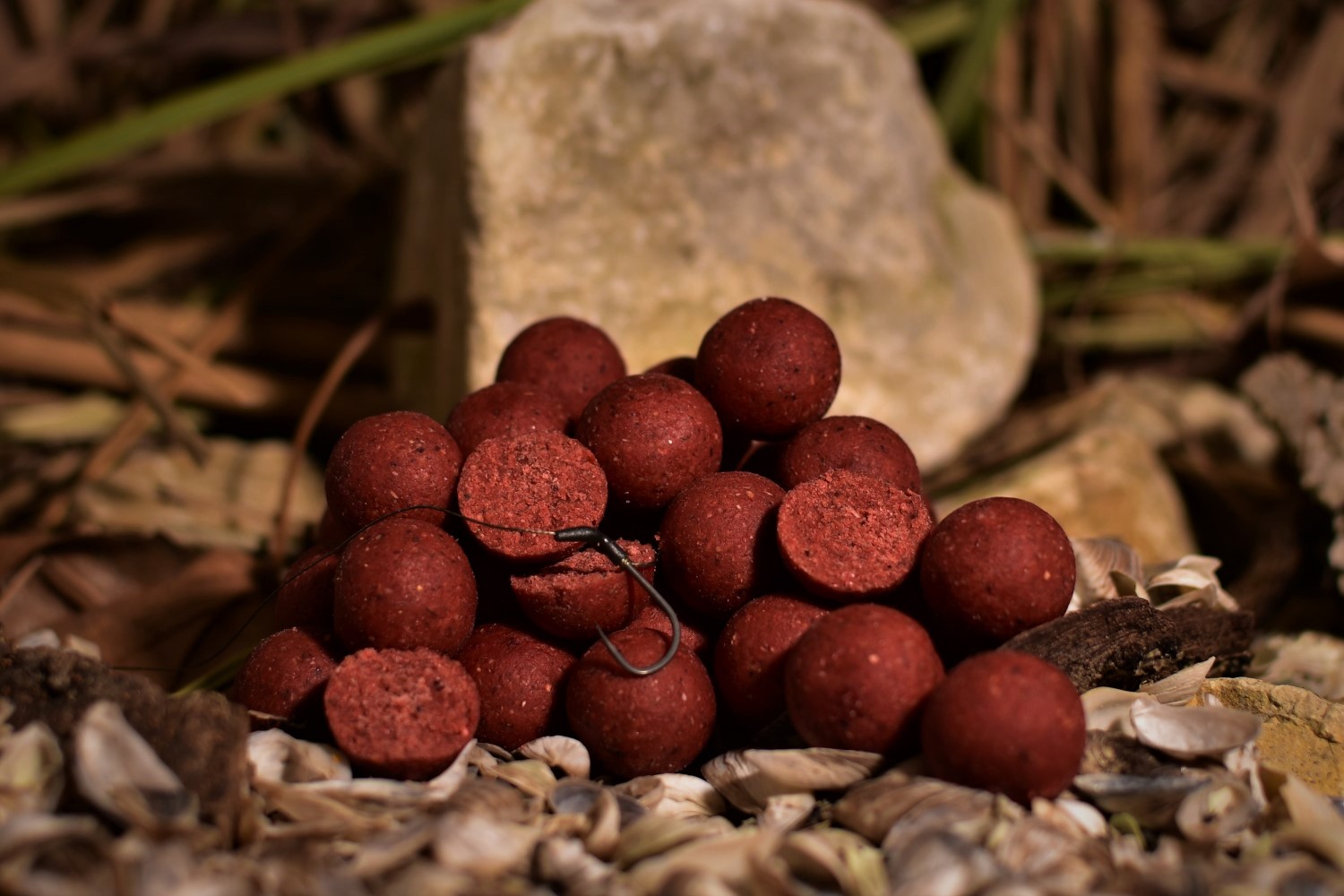 Balaton Baits Etető bojli SPICED - Fűszeres 24mm 5kg